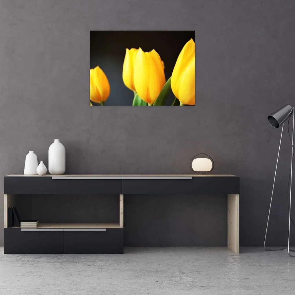 Obraz tulipánů (70x50 cm)