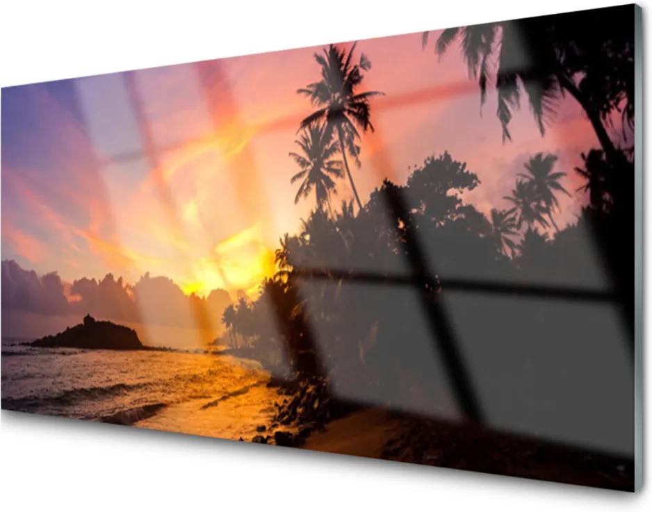 Skleněný obraz Moře Slunce Palmy Krajina