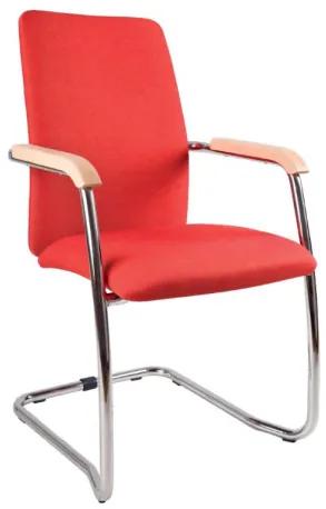 Alba Čalouněná konferenční židle OLYMP plus cantilever dřevěné krytky područek GALERIE - Čalounění Alba LÁTKY 3, ECO KŮŽE / KOŽENKA, EXPO