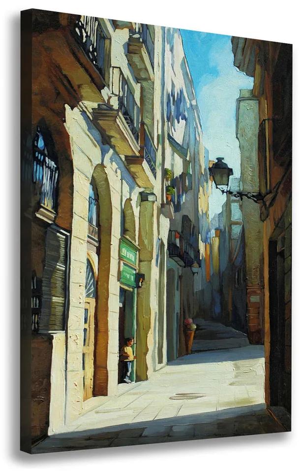 Wallmuralia Foto obraz na plátně Ulice Barcelony 70x100 cm