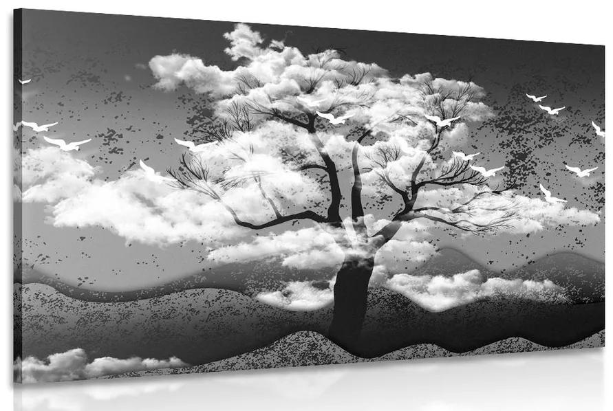 Obraz černobílý strom zalitý oblaky Varianta: 60x40