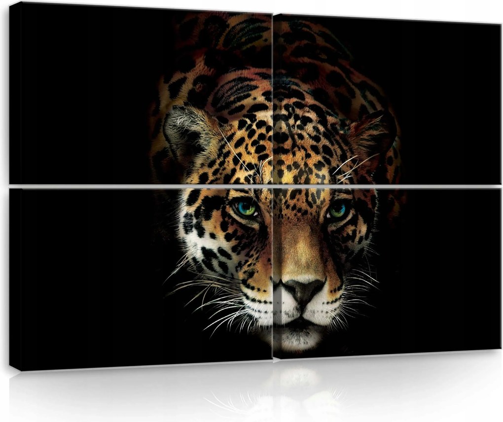 Obraz 120x80 Jaguar pohled divoká příroda dravec oči síla grácie