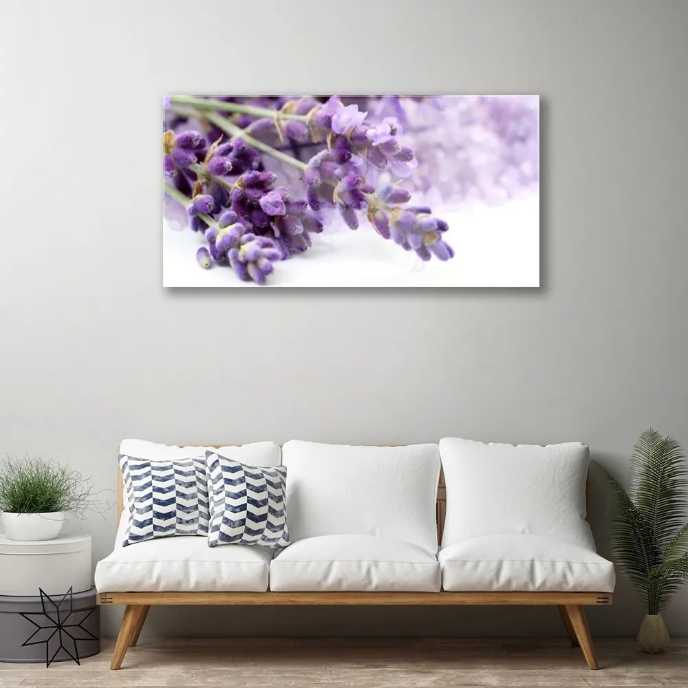 Plexisklo-obraz Květiny Příroda Rostlina 100x50 cm