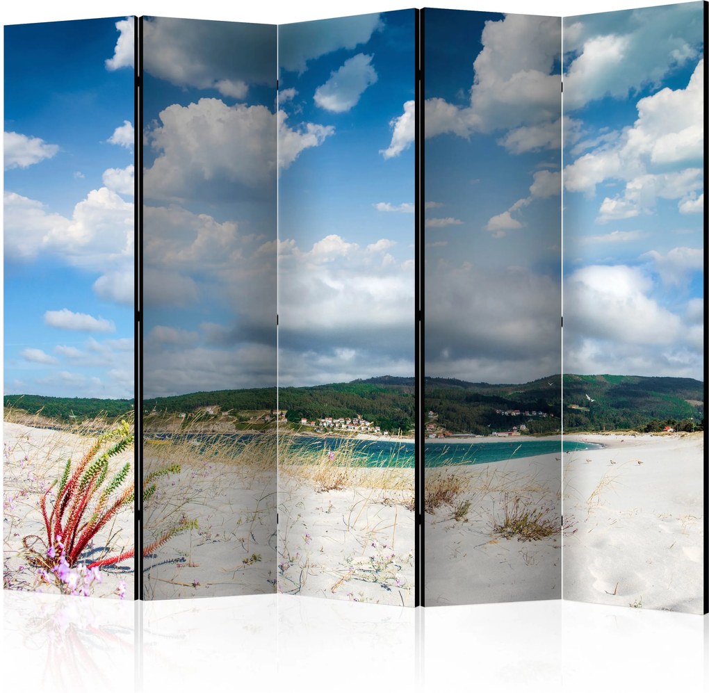 Paraván - Beach on the Costa da Morte II [Room Dividers] 225x172