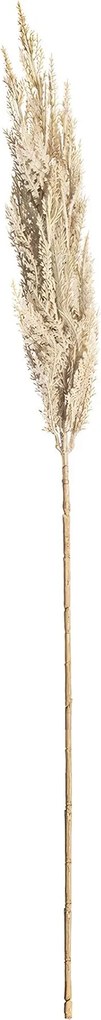Větvička pampové trávy 90cm cream