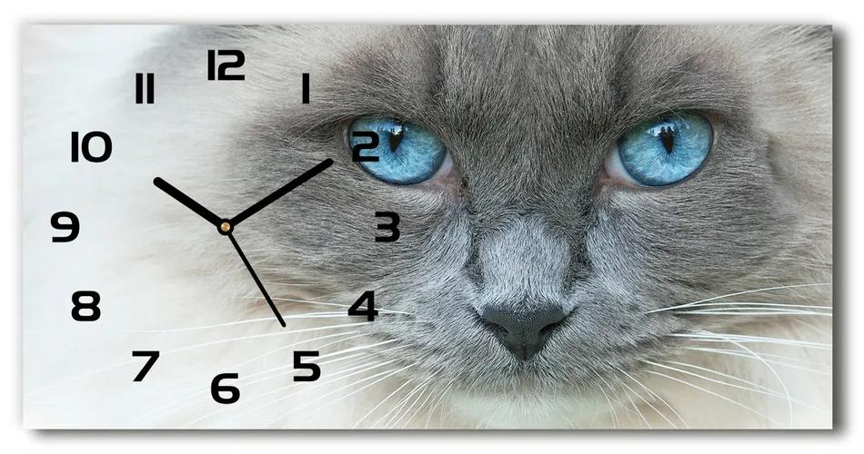 Wallmuralia Skleněné hodiny na stěnu Kočka modré oči 60x30 cm