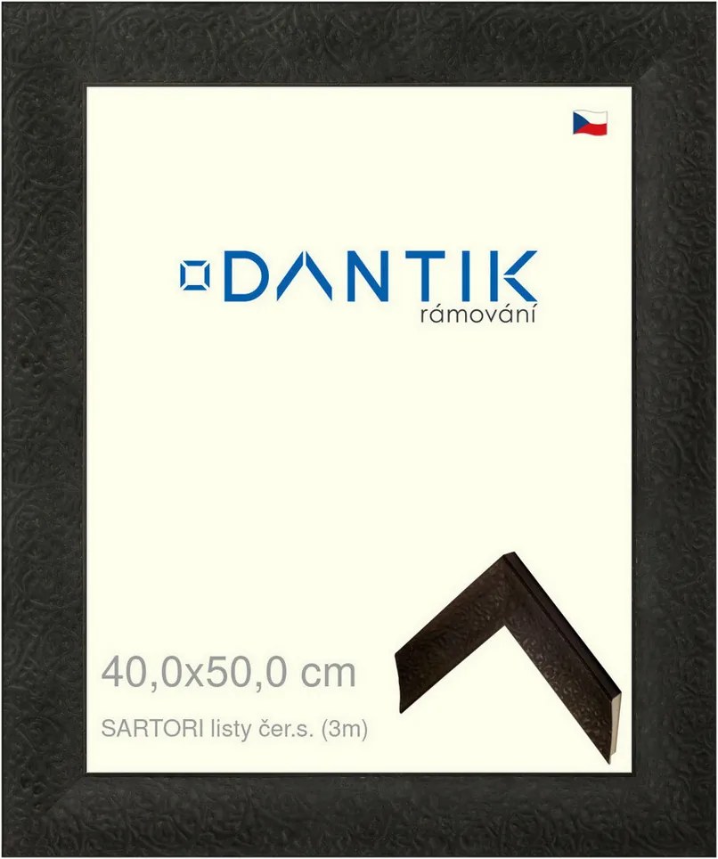 DANTIK rámeček 40x50 | SARTORI listy čer.s. (Sklo Čiré)