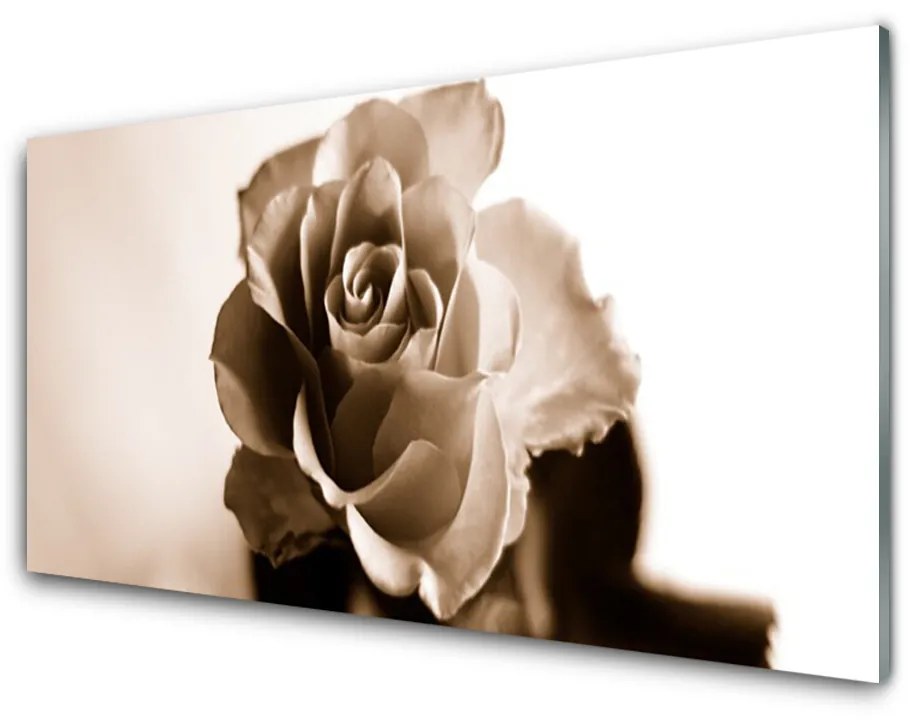 akrylový obraz Růže Květ 100x50 cm