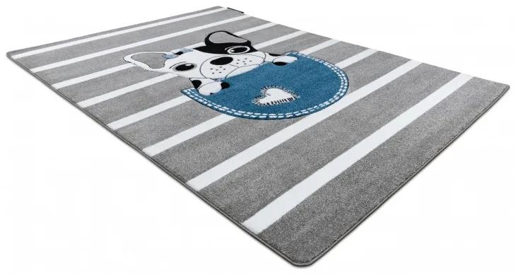 Dywany Łuszczów Dětský kusový koberec Petit Bulldog grey - 160x220 cm