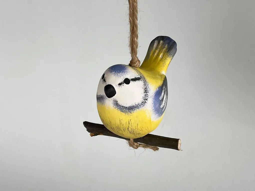 Ptáček na větvičce sýkorka modřinka