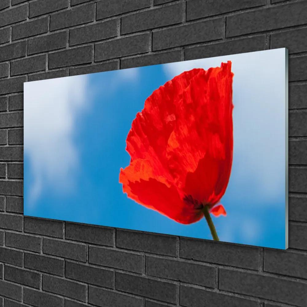 Obraz na skle Tulipán 140x70 cm