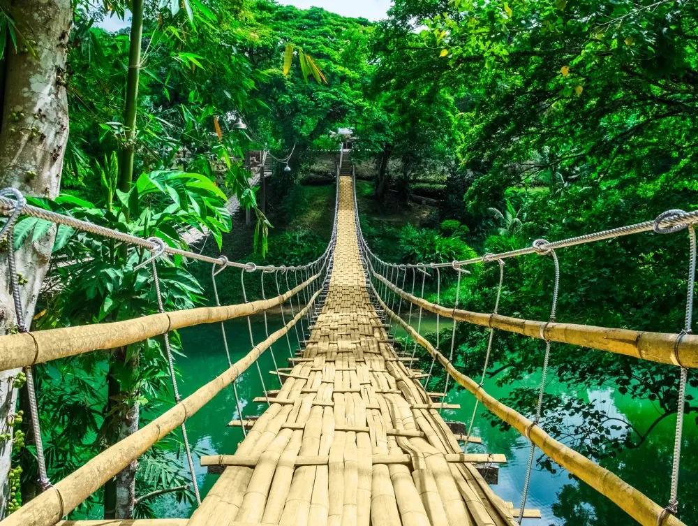Vícedílný obraz Bambusový Most V Deštném Pralese Nedostatek Nedostatek Přírodní plátno 120x90