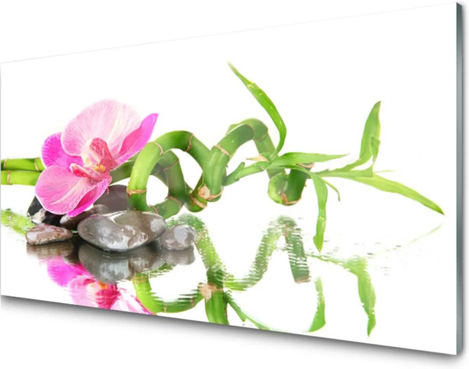 Plexisklo obraz Bambus Květ Kameny Umění