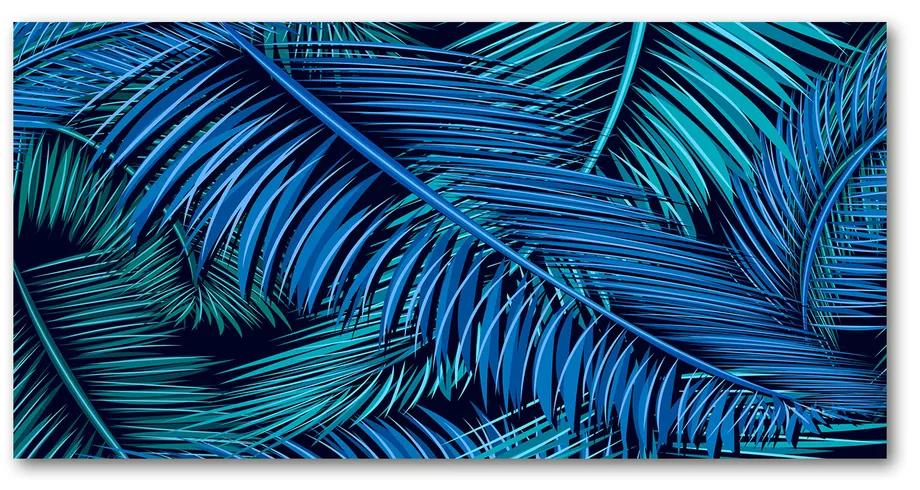 Wallmuralia Foto obraz akrylové sklo Listí palmy 140x70 cm