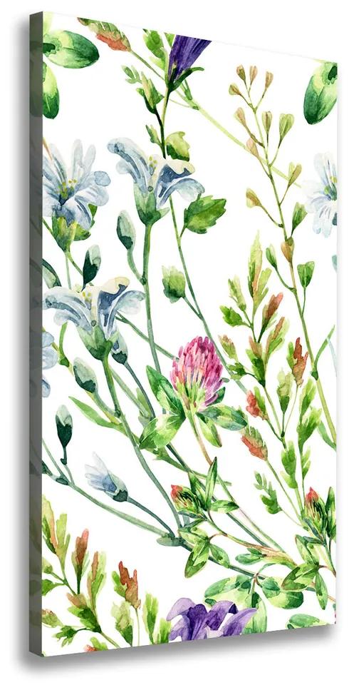 Wallmuralia Foto obraz canvas Polní květiny 50x100 cm