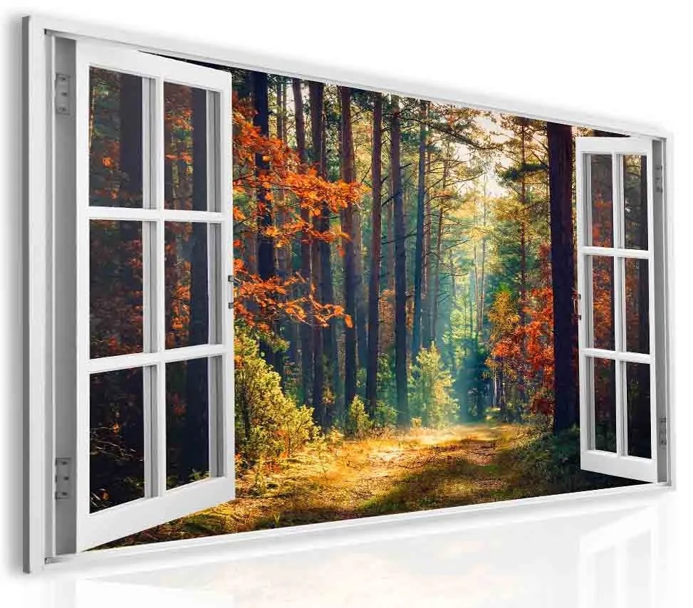 3D obraz okno les plný barev Velikost (šířka x výška): 60x40 cm