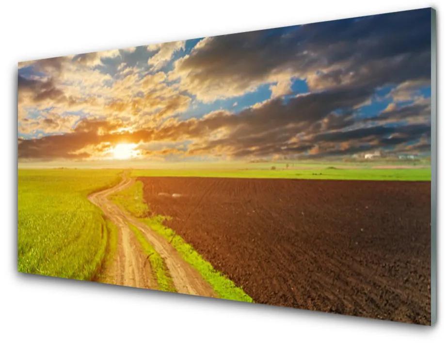 akrylový obraz Pole Nebe Slunce Příroda 100x50 cm