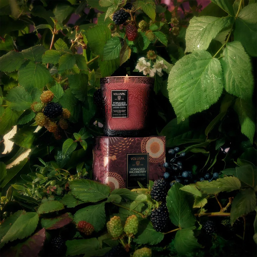 Voluspa svíčka Foraged Wildberry, 255 g