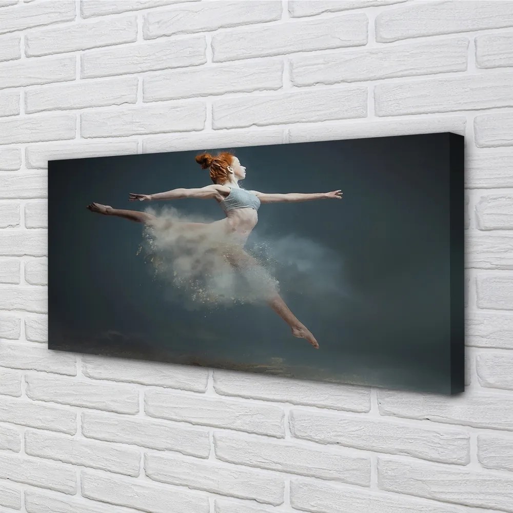 Obrazy na plátně balerína kouř 100x50 cm