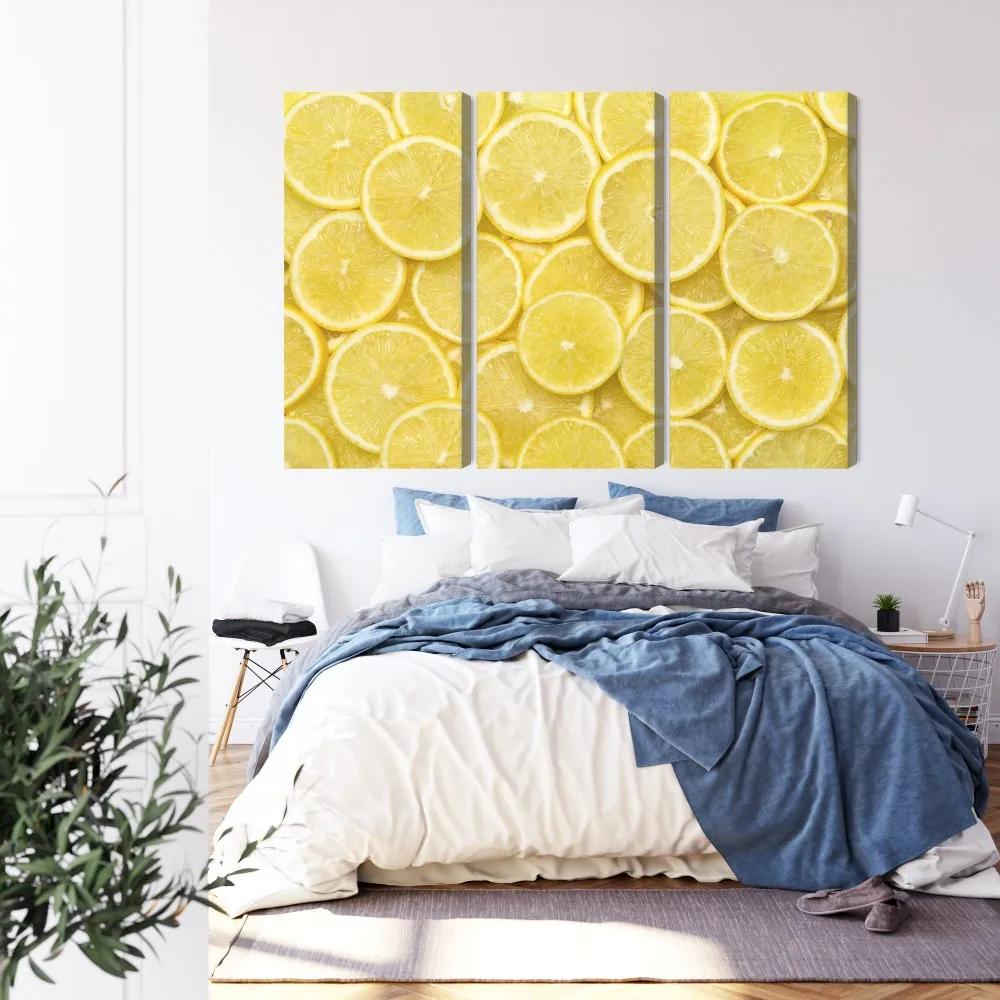 Vícedílný obraz Plátky Citronu Nedostatek Nedostatek Přírodní plátno 120x80