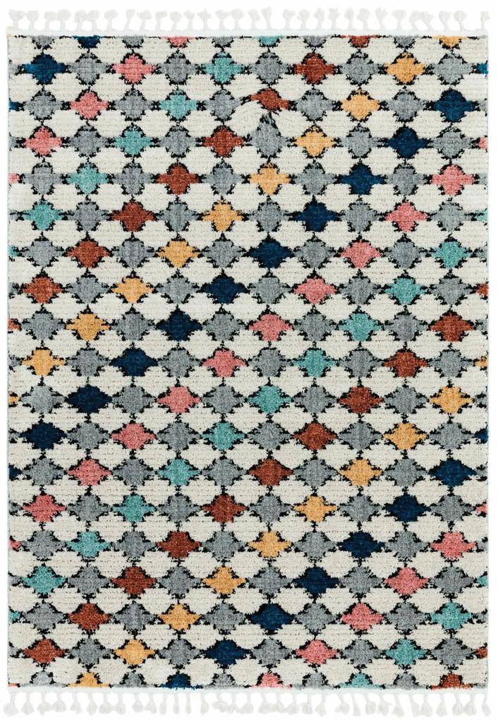 Barevný  koberec Parva Farah Rozměry: 160x230 cm