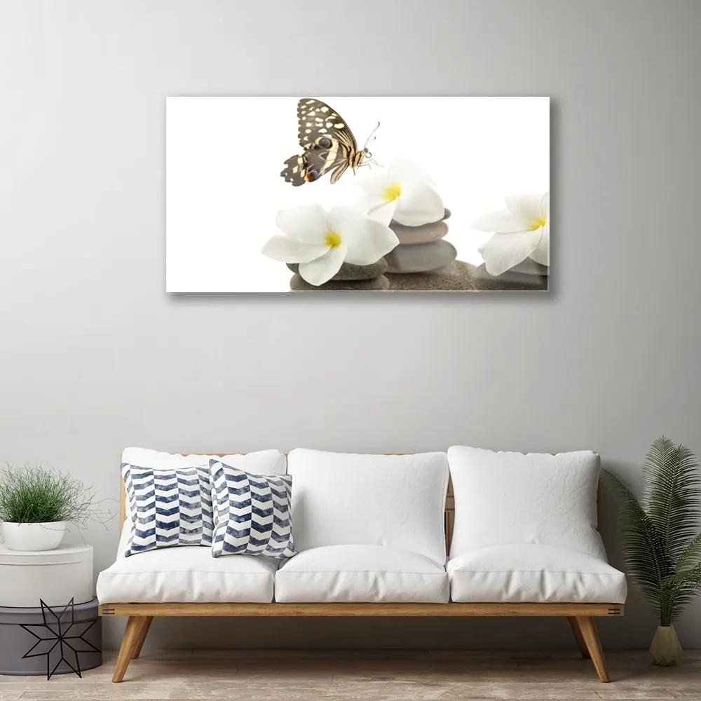 akrylový obraz Motýl Květ Kameny Rostlina 100x50 cm