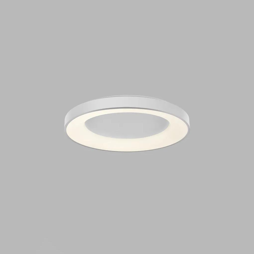 Stropní kružnicové svítidlo Bella Ceiling  Stropní kružnicové svítidlo Bella Ceiling Barva: Bílá, Průměr: 600 mm, Stmívání: Stmívatelné DALI Tunable…