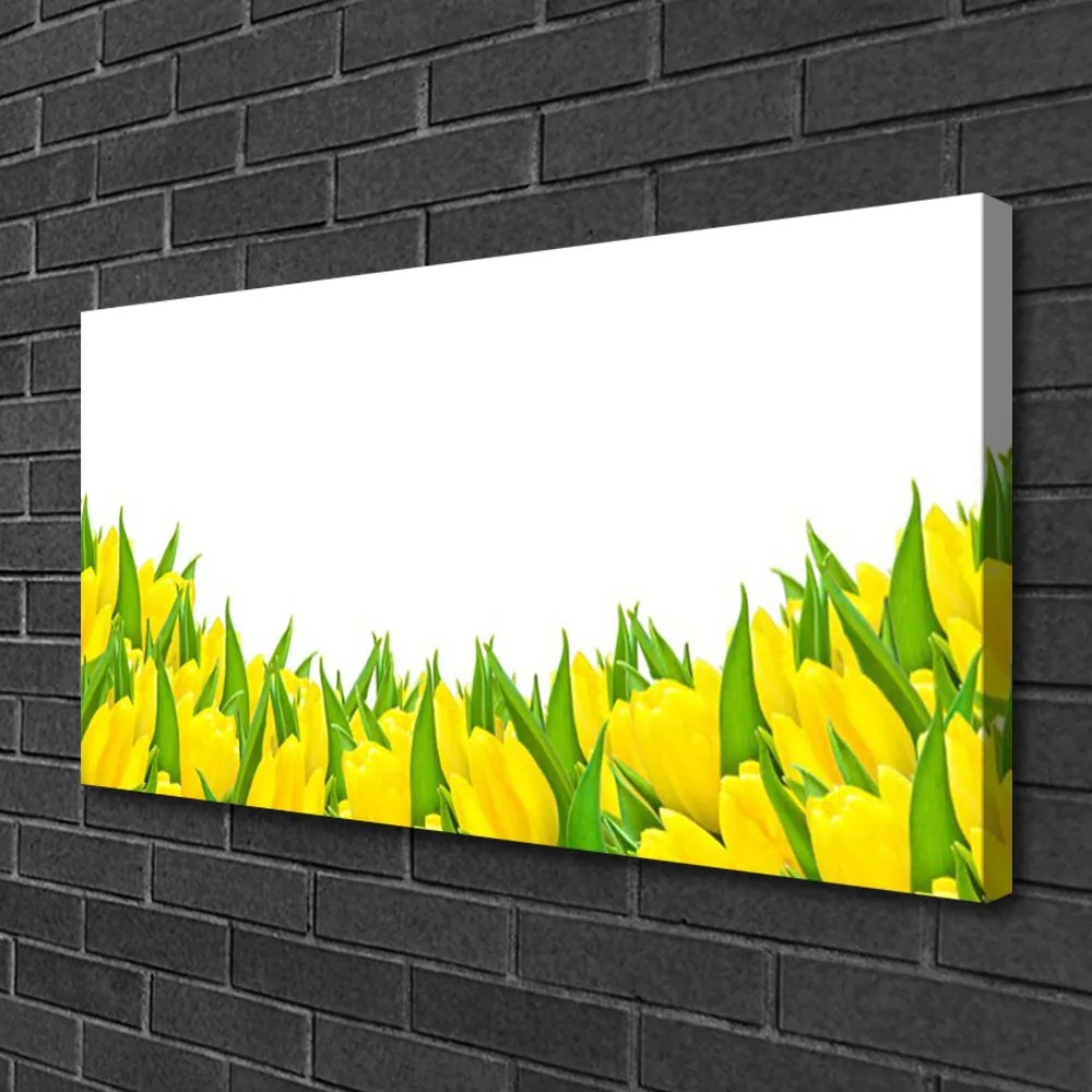 Obraz na plátně Květiny Příroda Tulipány 100x50 cm