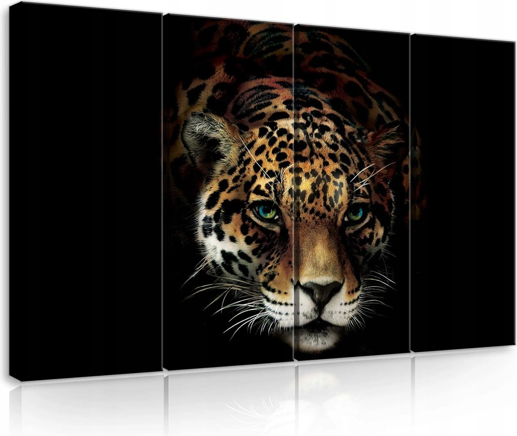 Obraz 120x80 Jaguar pohled divoká příroda dravec oči síla grácie
