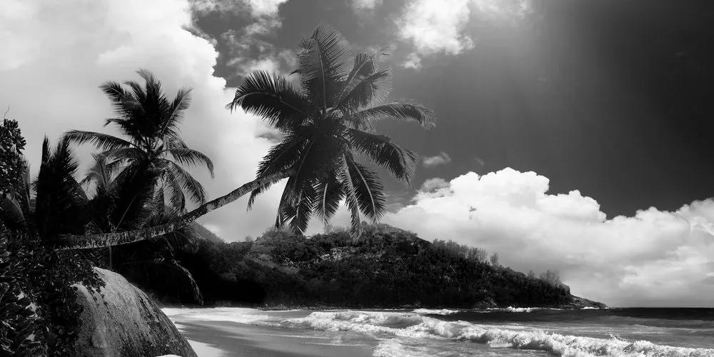 Obraz nádherná pláž na ostrově Seychely v černobílém provedení Varianta: 100x50