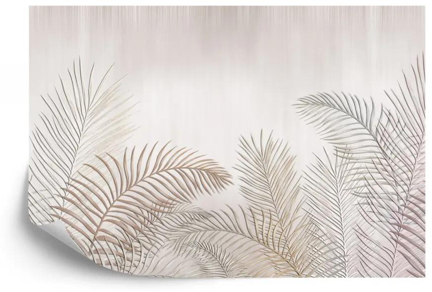 Fototapeta Palmové Listy Na Světlém Pozadí Strukturální vinyl 254x184