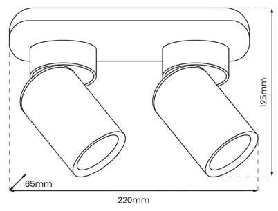 Bodové svítidlo ANDY 2xGU10/8W/230V bílá/zlatá