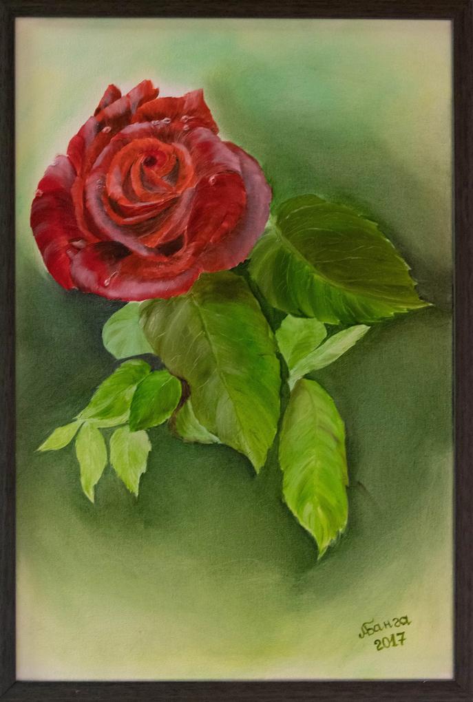 Ručně malovaný obraz na plátně květiny Růže