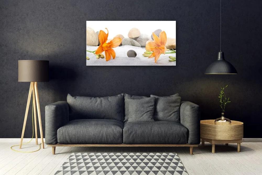 Plexisklo-obraz Lilie Kameny Příroda 100x50 cm