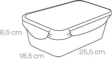TESCOMA Dóza FRESHBOX 2,5 l, obdélníková