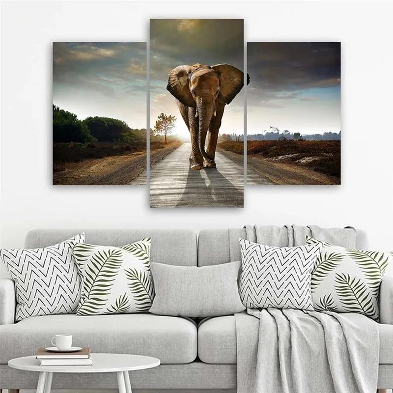 Gario Obraz na plátně Putování slona na cestě - 3 dílný Rozměry: 60 x 40 cm
