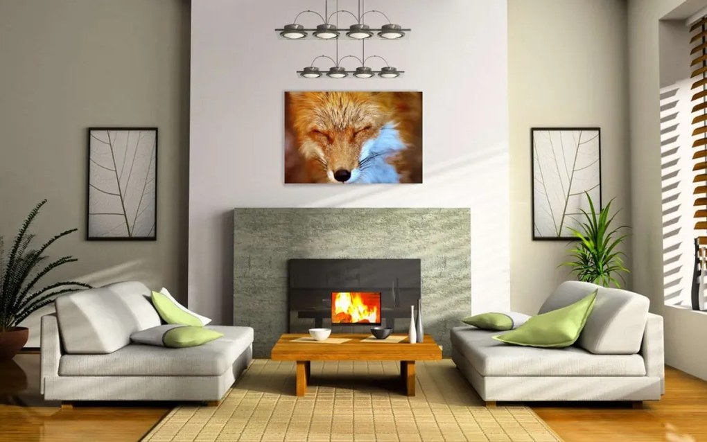 Malvis ® Obraz na plátně Liška Velikost (šířka x výška): 120x80 cm
