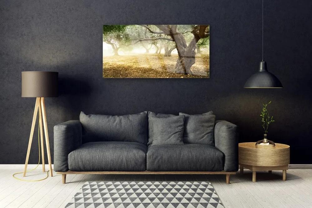 Obraz na skle Strom Tráva Příroda 120x60 cm