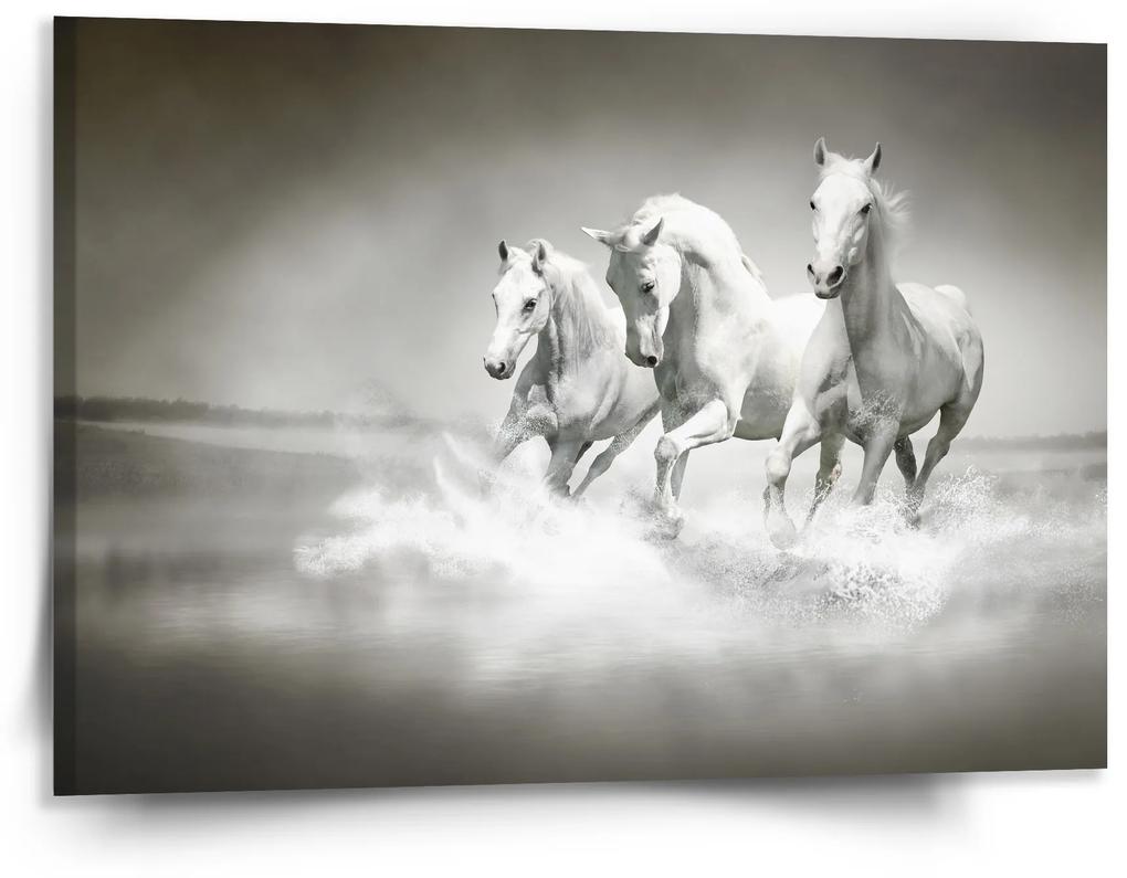Obraz SABLIO - Bílí koně 150x110 cm