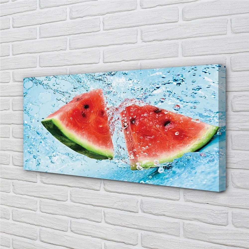 Obrazy na plátně meloun voda 100x50 cm