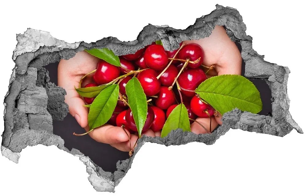 Wallmuralia Samolepící nálepka Višně v dlaních 95x73 cm