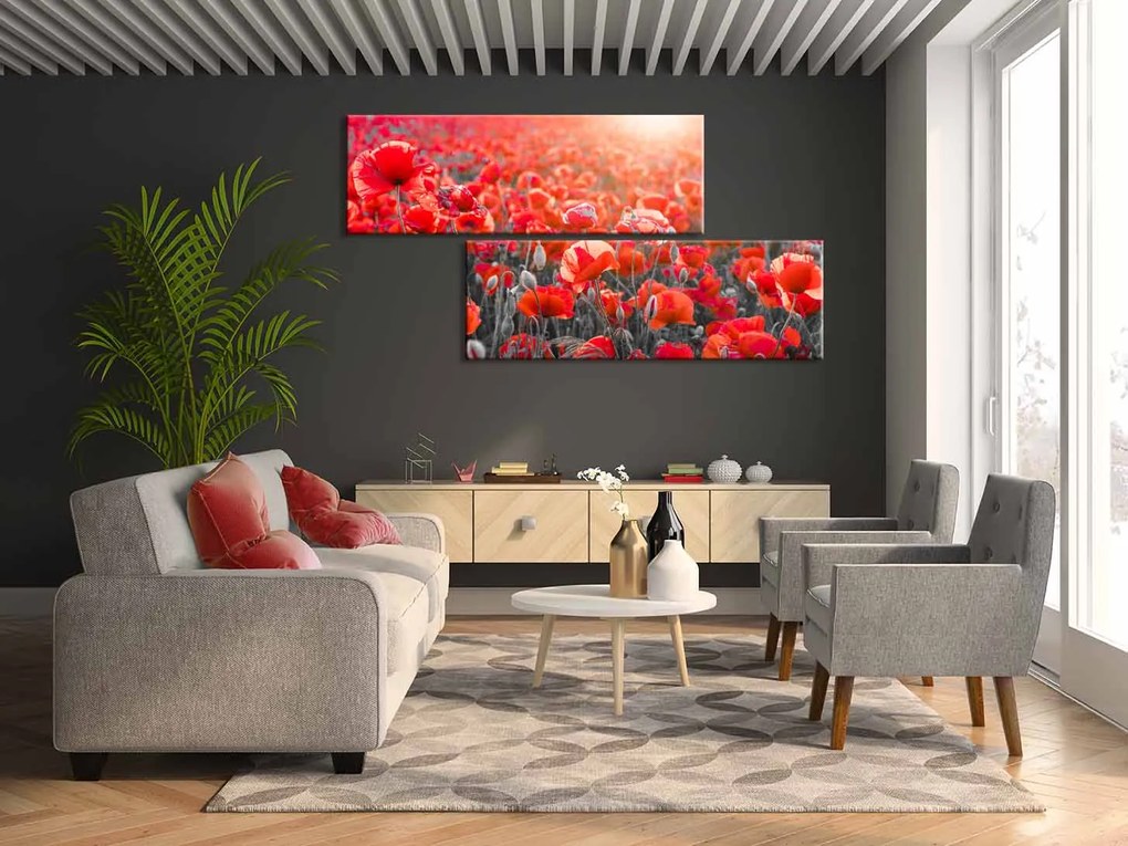 Dvoudílný obraz vlčí mák Velikost (šířka x výška): 120x60 cm