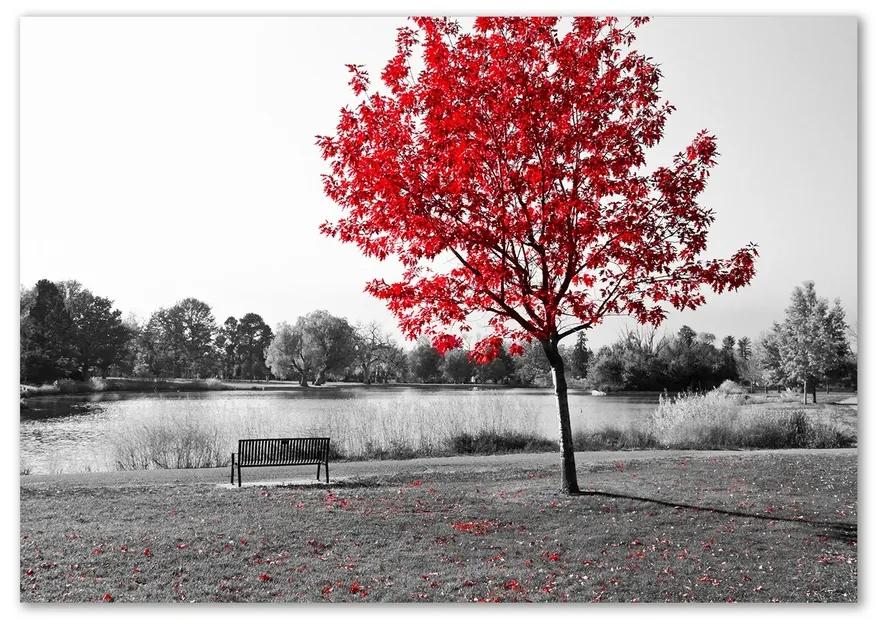 Wallmuralia Fotoobraz na skle Červený strom 100x70 cm