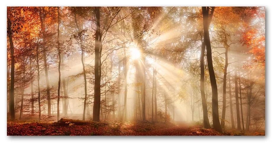 Wallmuralia Foto obraz akrylový do obýváku Mlha v lese podzim 120x60 cm