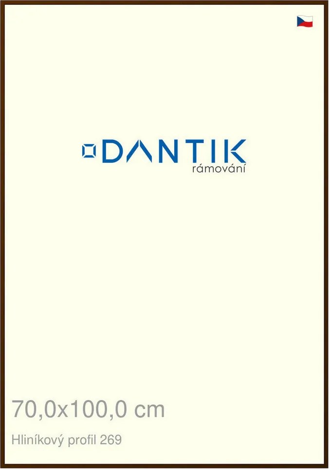 DANTIK rámeček 70x100 | ALU profil 7269 Hnědá umbra broušená (Plexi Čiré)