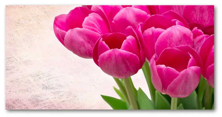 Wallmuralia Foto-obraz fotografie na skle Růžové tulipány 100x50 cm