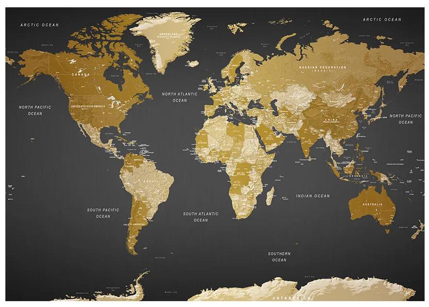 Samolepící fototapeta - Mapa světa: Moderní geografie 343x245