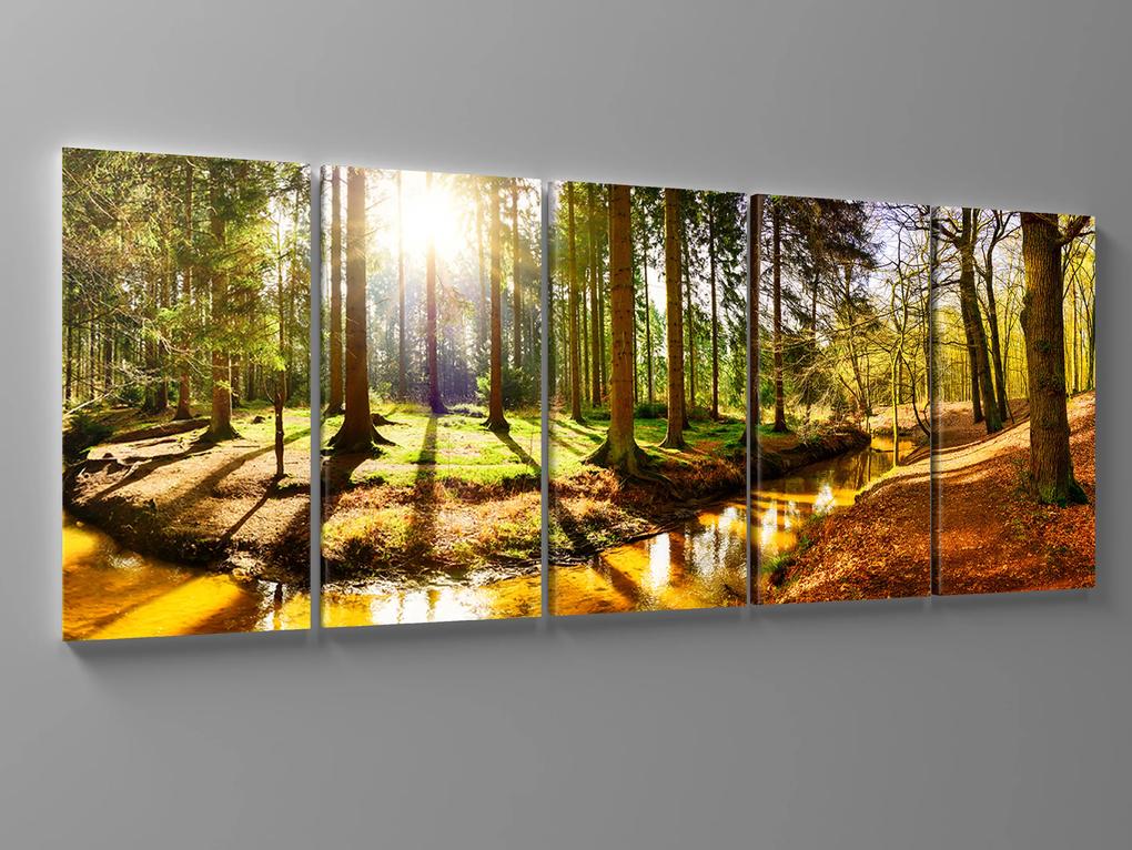 Liox Obraz řeka v lese Rozměr: 250 x 100 cm