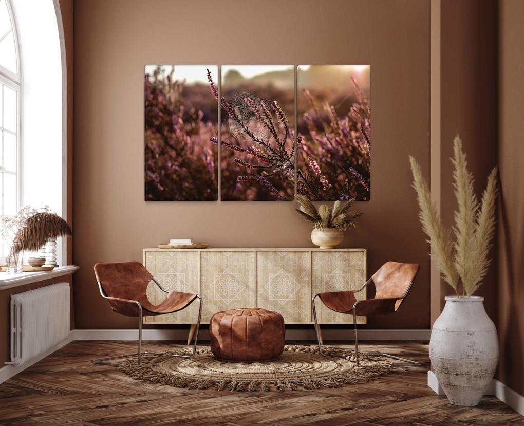 Malvis Obraz Pavučinka podzimu Velikost (šířka x výška): 110x60 cm