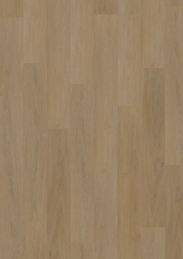 Oneflor, Vinylová podlaha lepená ECO 55 064 English Oak Honey - dub, 1219,2 x 184,1 mm